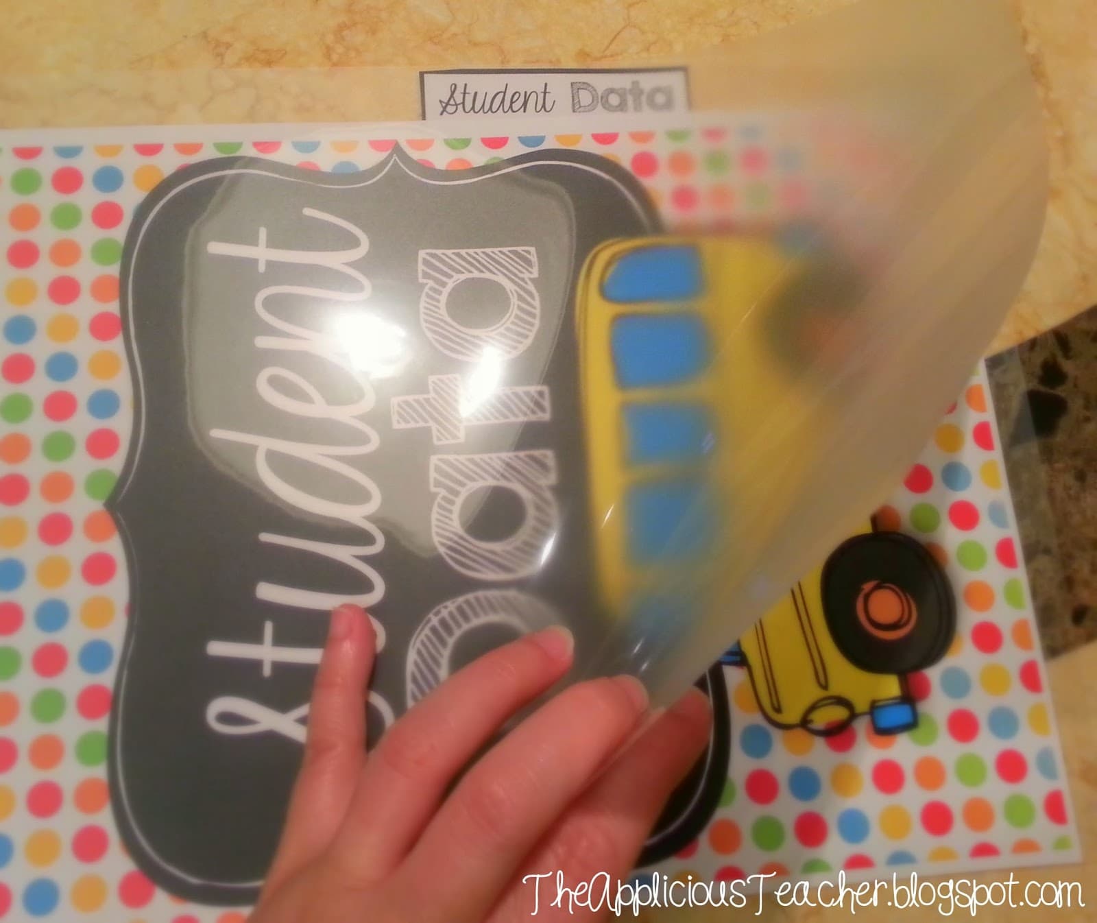 Student Data Binder: Keeping your Student Data Organized