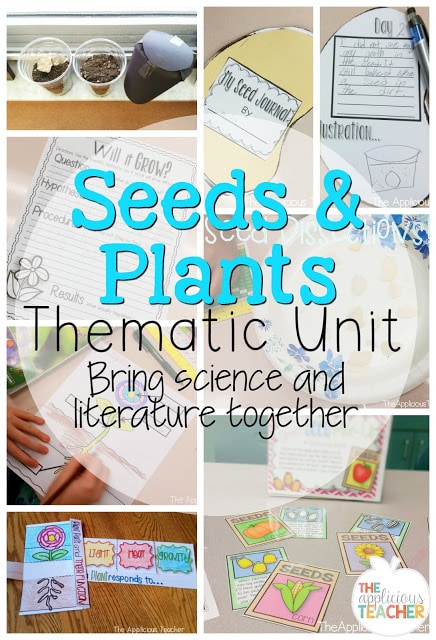 SeedsandPlantsLongPin-3 - The Applicious Teacher