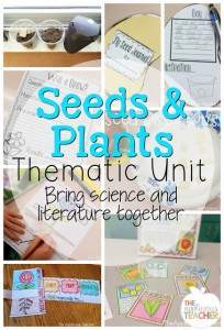 9 Fun Plant Activities for 2nd Grade - The Applicious Teacher