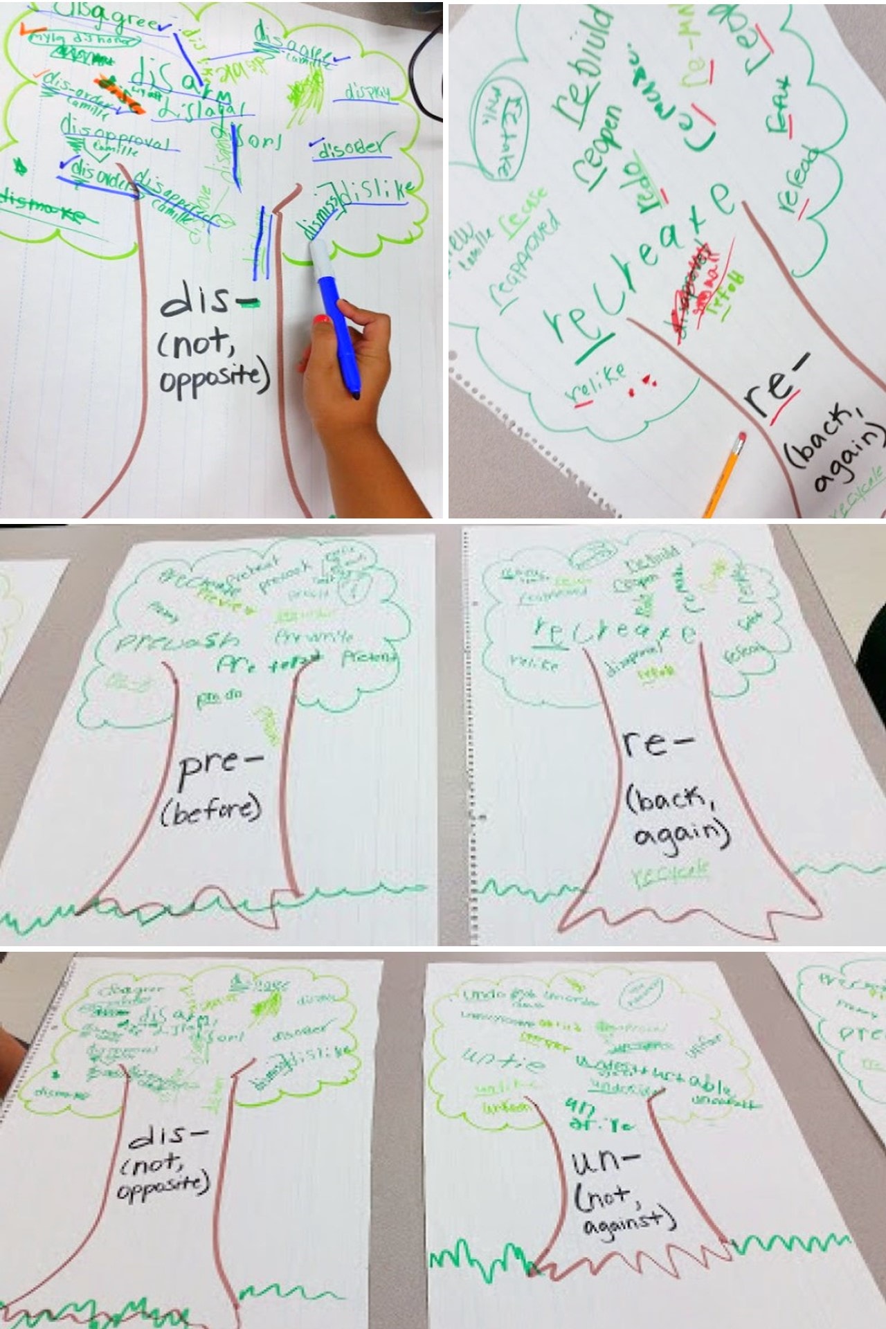 Prefix Activities for 3rd Grade: Wordy Study for Prefixes