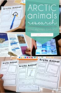 Arctic Thematic Unit: Part Two - The Applicious Teacher