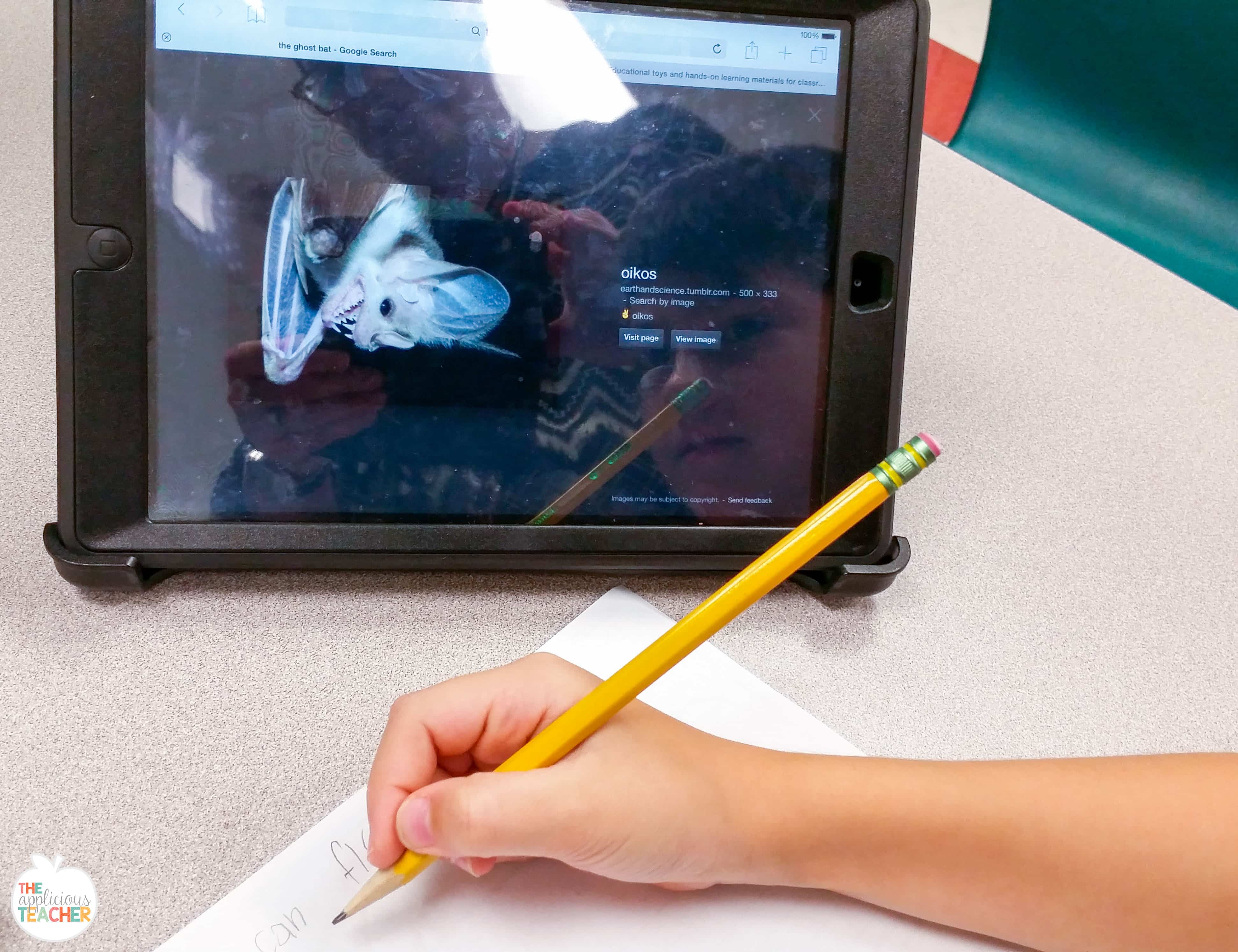 bat-thematic-unit-25 - The Applicious Teacher