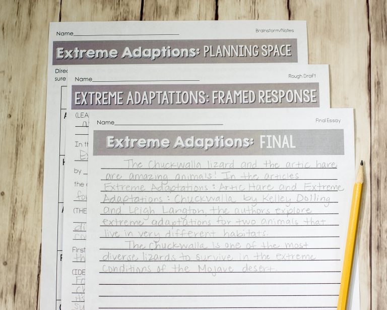 Responding to Text Writing Lesson Plans and Activities