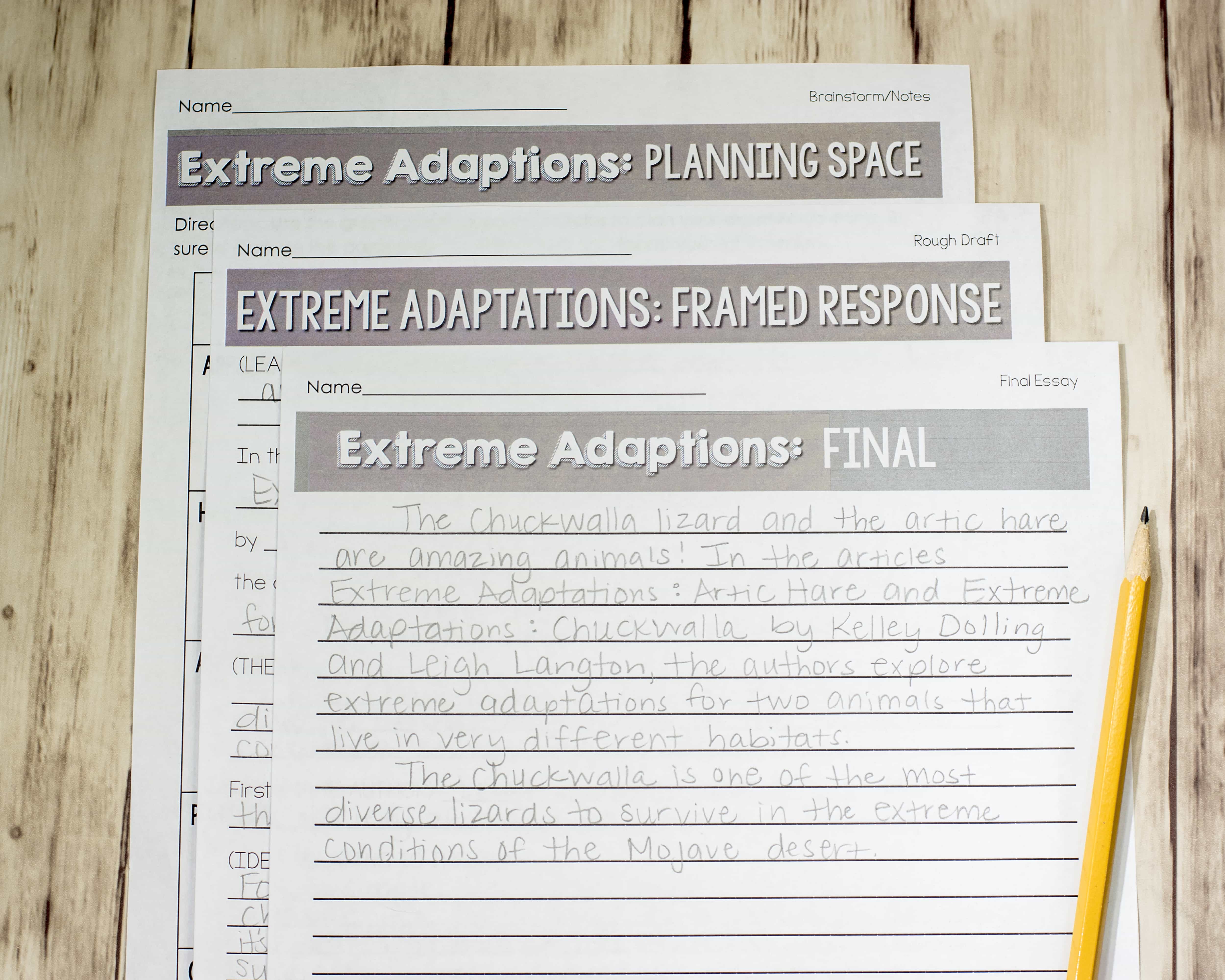 Responding to Text Writing Lesson Plans and Activities