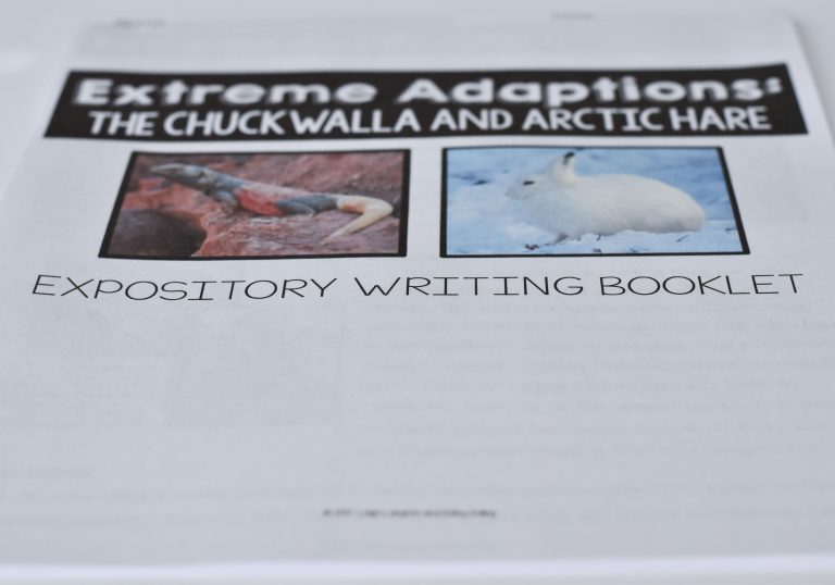 Responding to Text Writing Lesson Plans and Activities