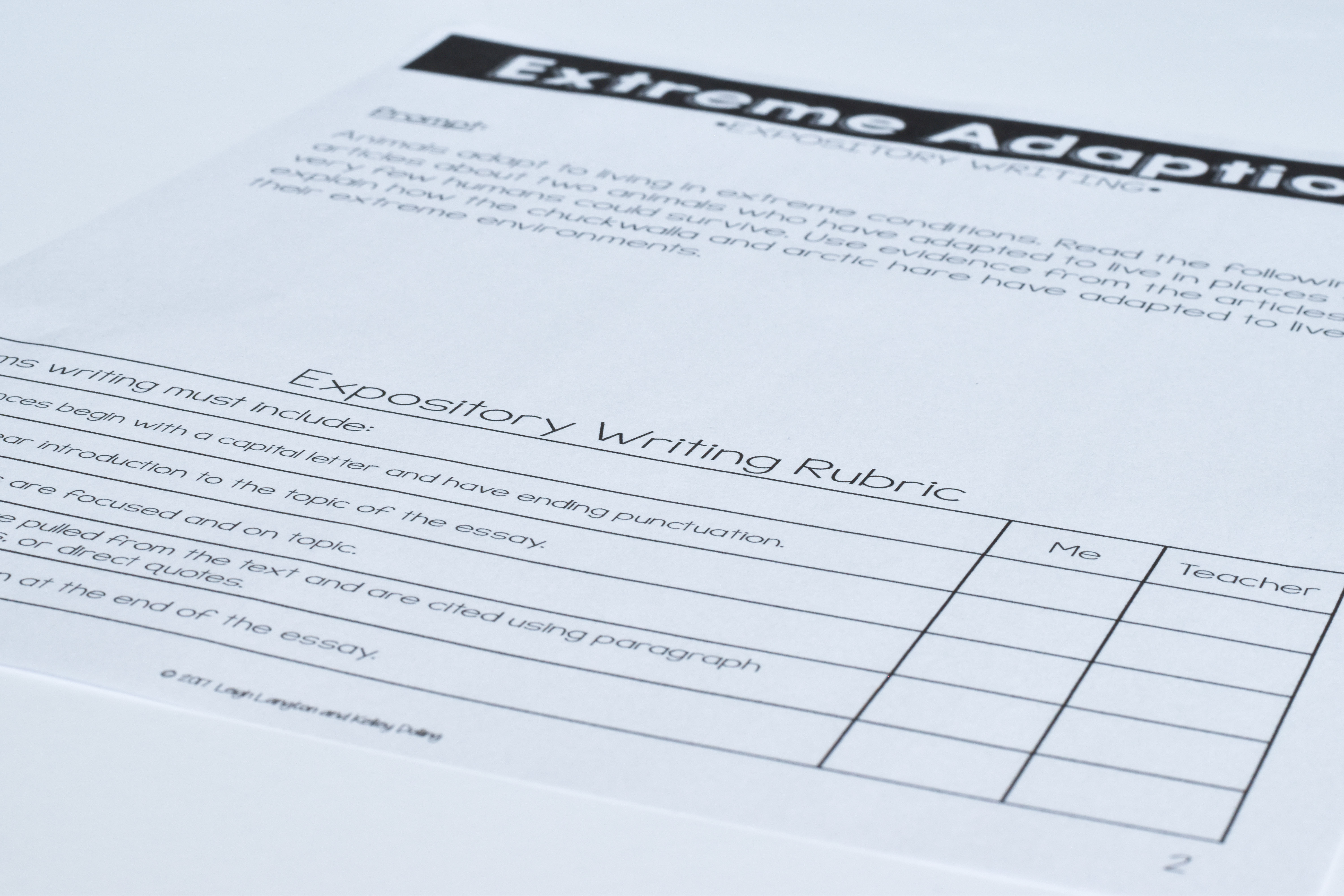 Responding to Text Writing Lesson Plans and Activities