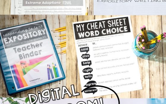 Responding to Text Writing Lesson Plans and Activities