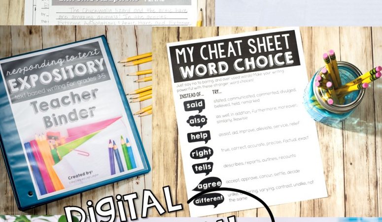 Responding to Text Writing Lesson Plans and Activities