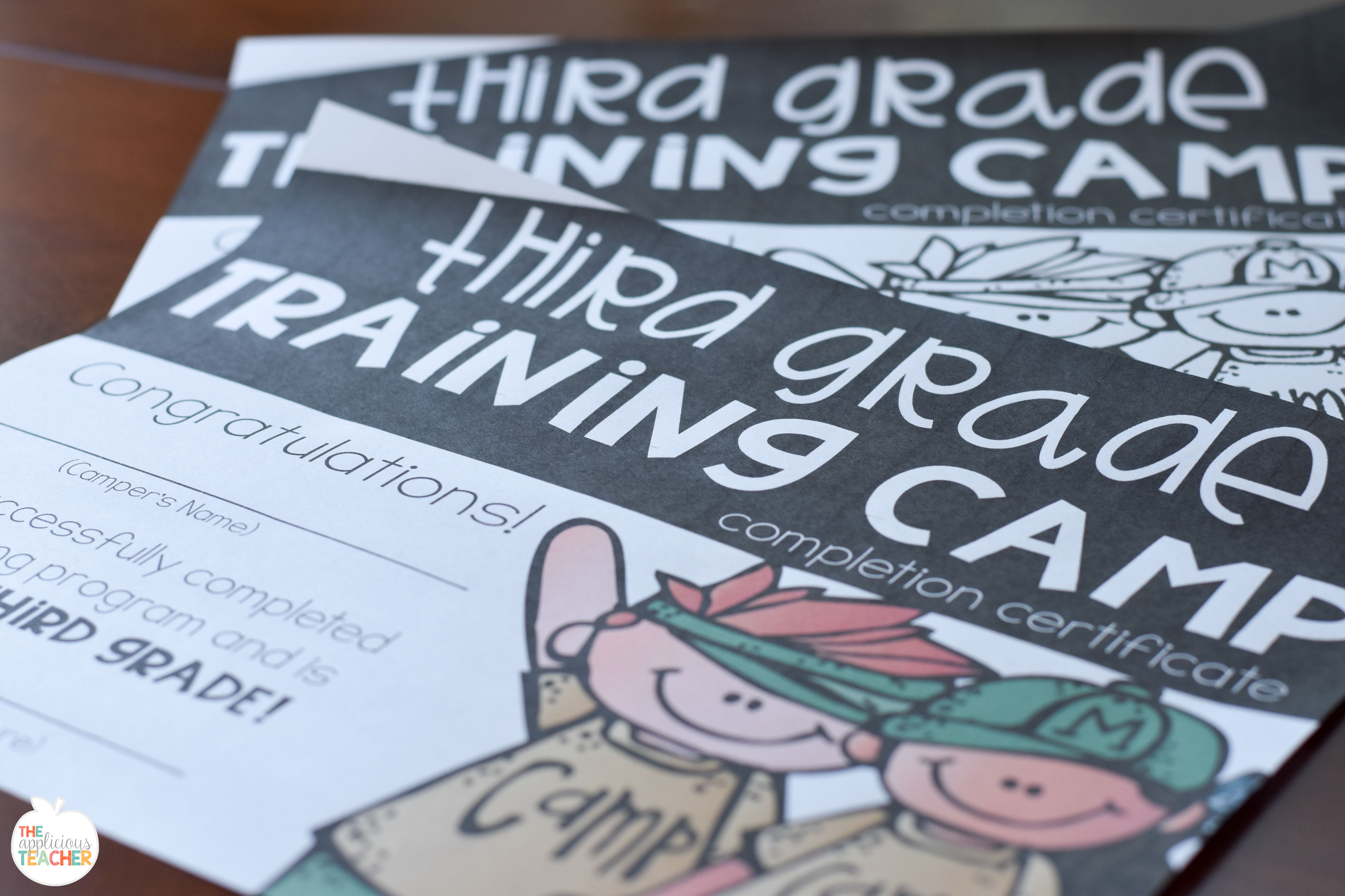 Third Grade Training Camp: End of the Year Review for 2nd