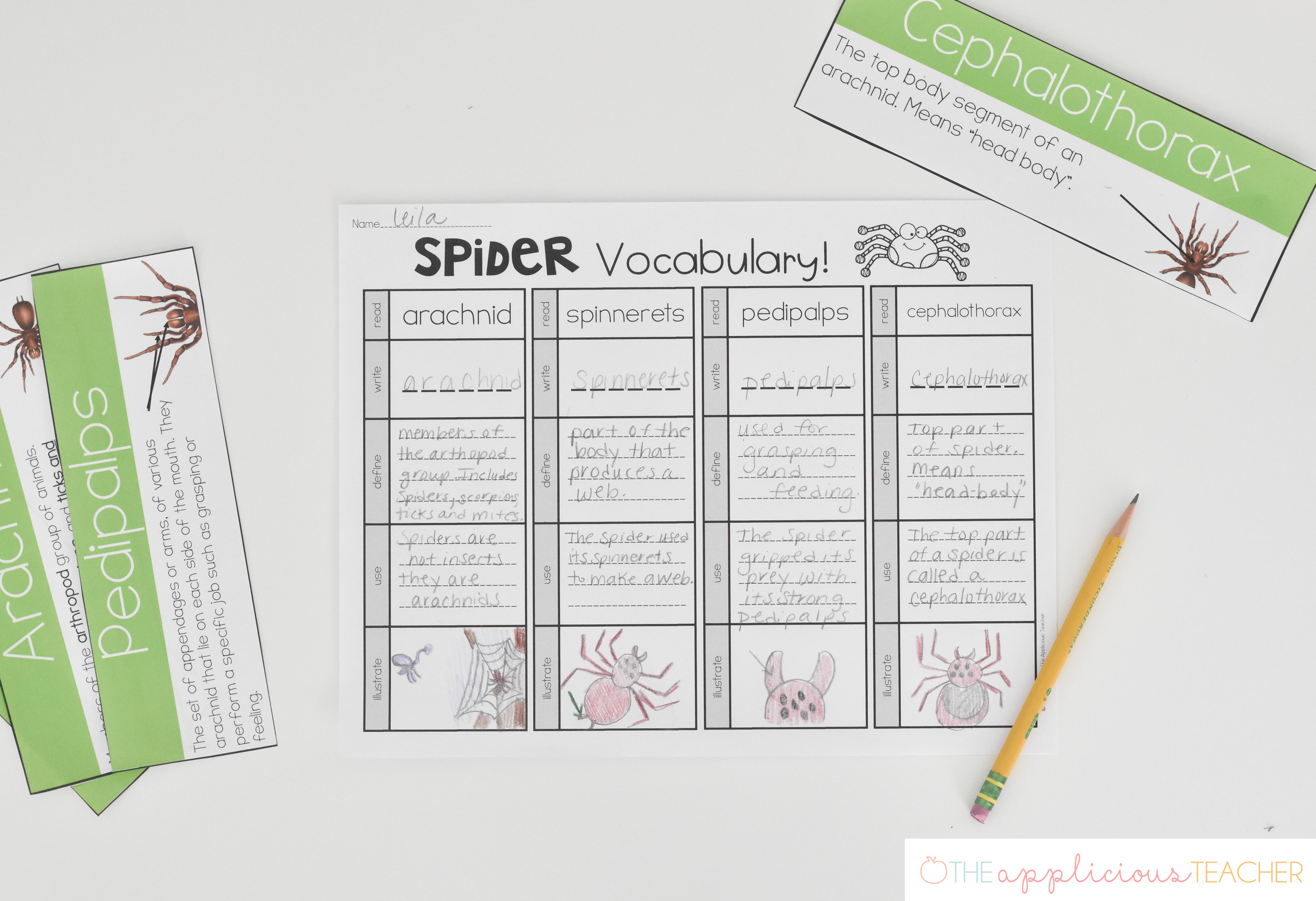 Spider Unit: A Fun Way to Teach the Standards this October