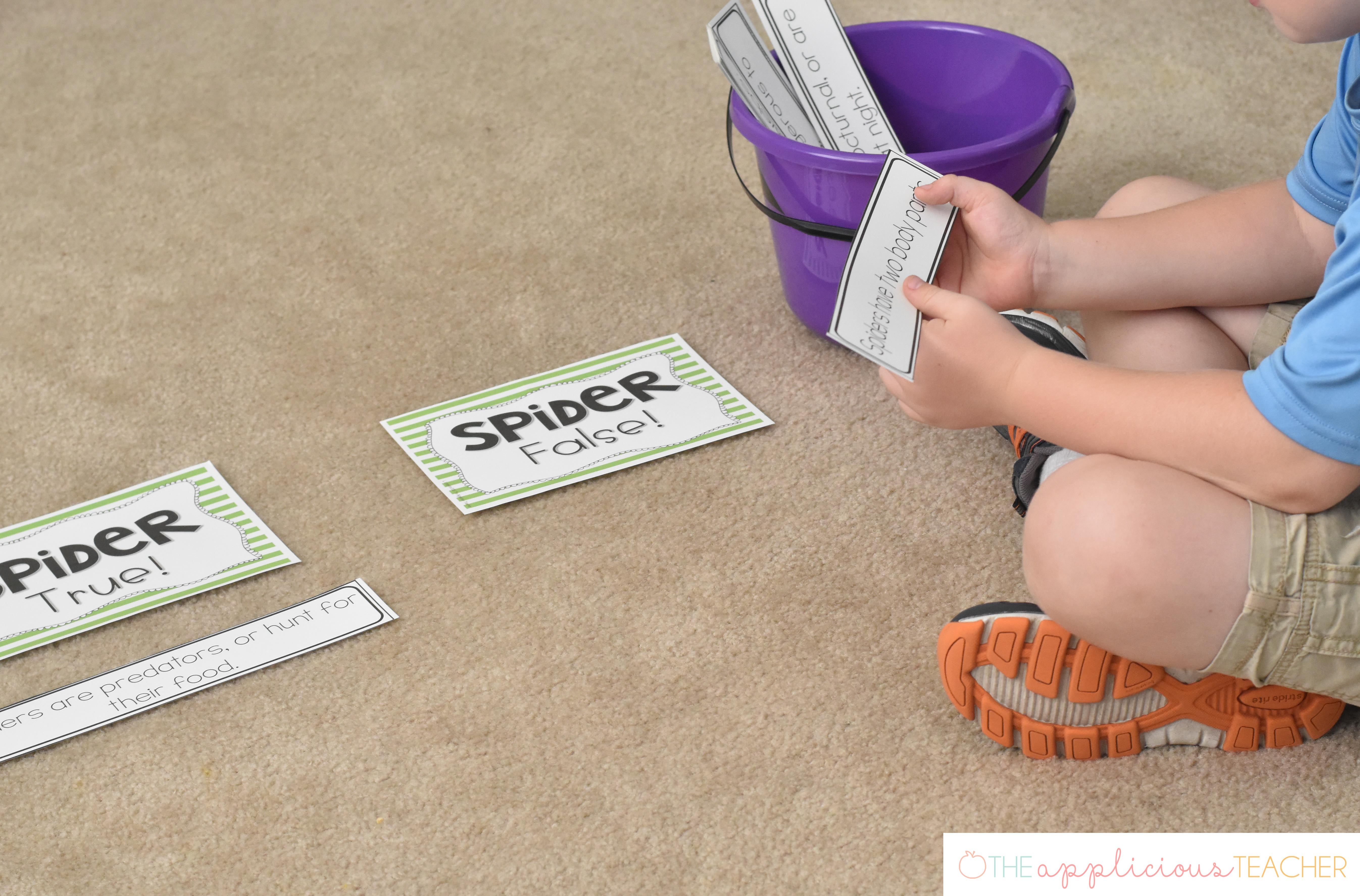 Spider Unit: A Fun Way to Teach the Standards this October