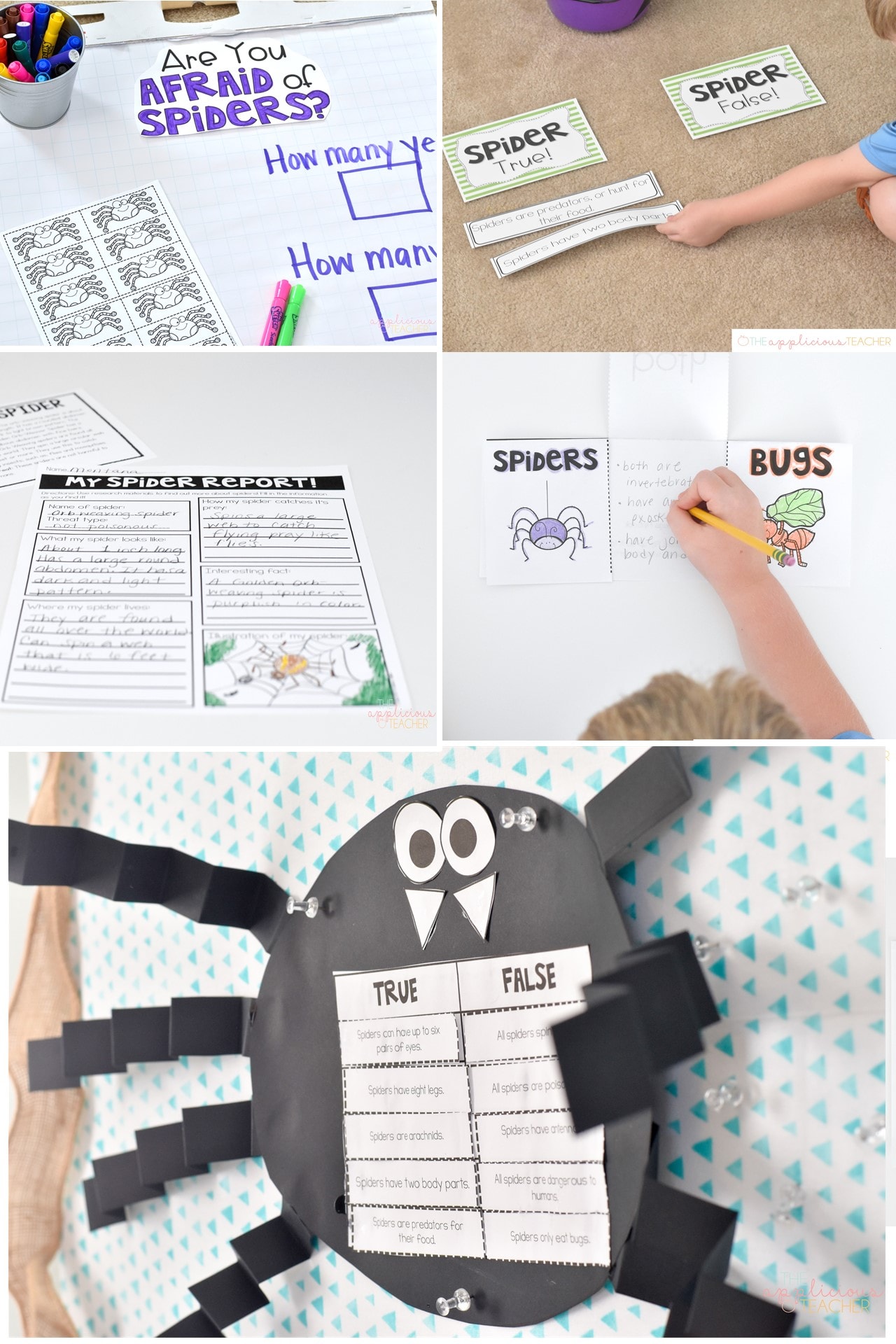 Spider Unit: A Fun Way to Teach the Standards this October