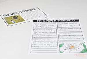 Spider Unit: A Fun Way to Teach the Standards this October