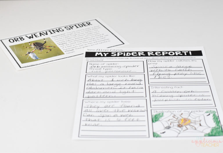 Spider Unit: A Fun Way to Teach the Standards this October