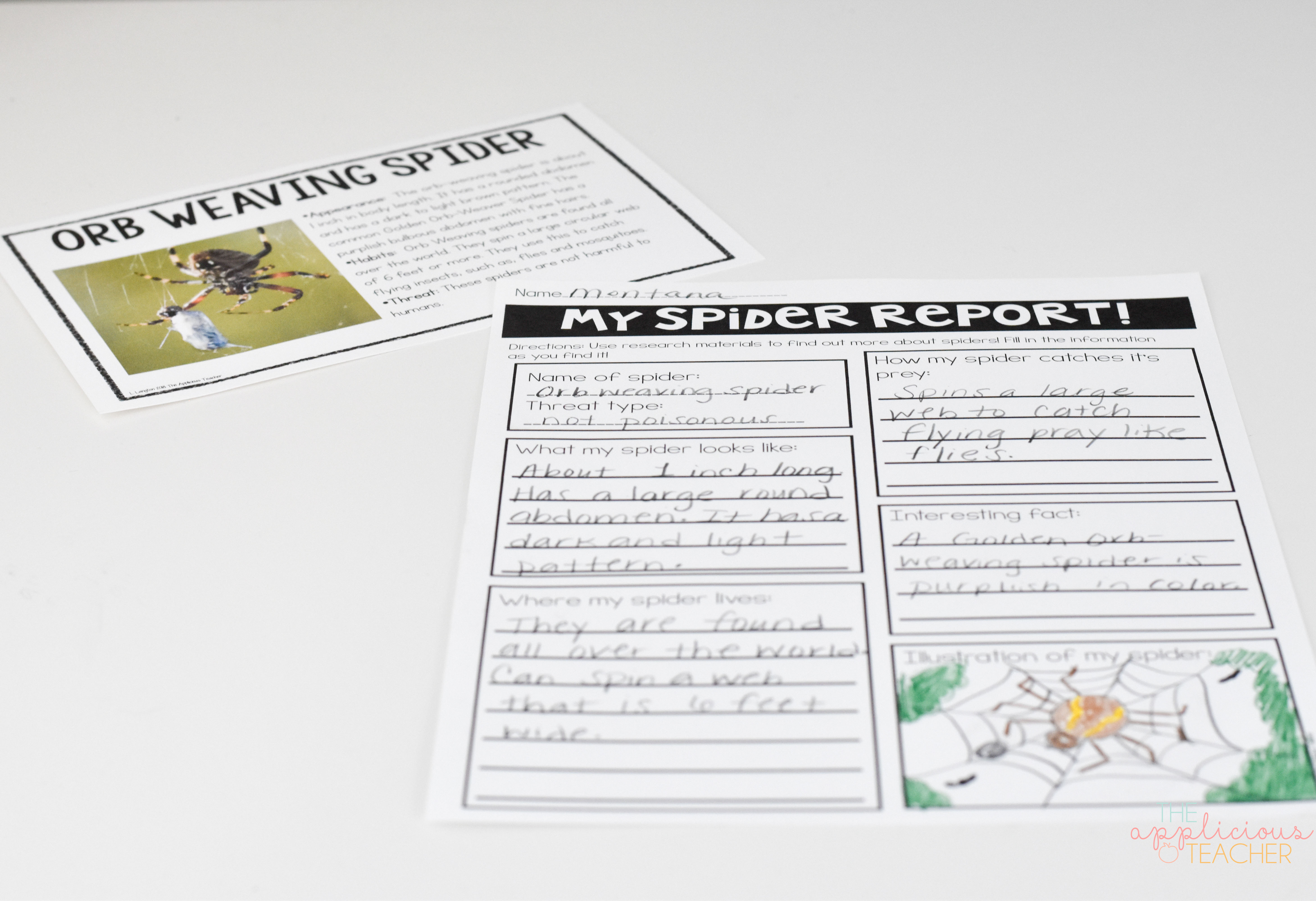 Spider Unit: A Fun Way to Teach the Standards this October