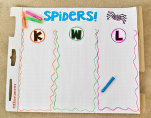 Spider Unit: A Fun Way to Teach the Standards this October