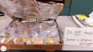 Learning About the Sun's Energy with S'MORES! - The Applicious Teacher