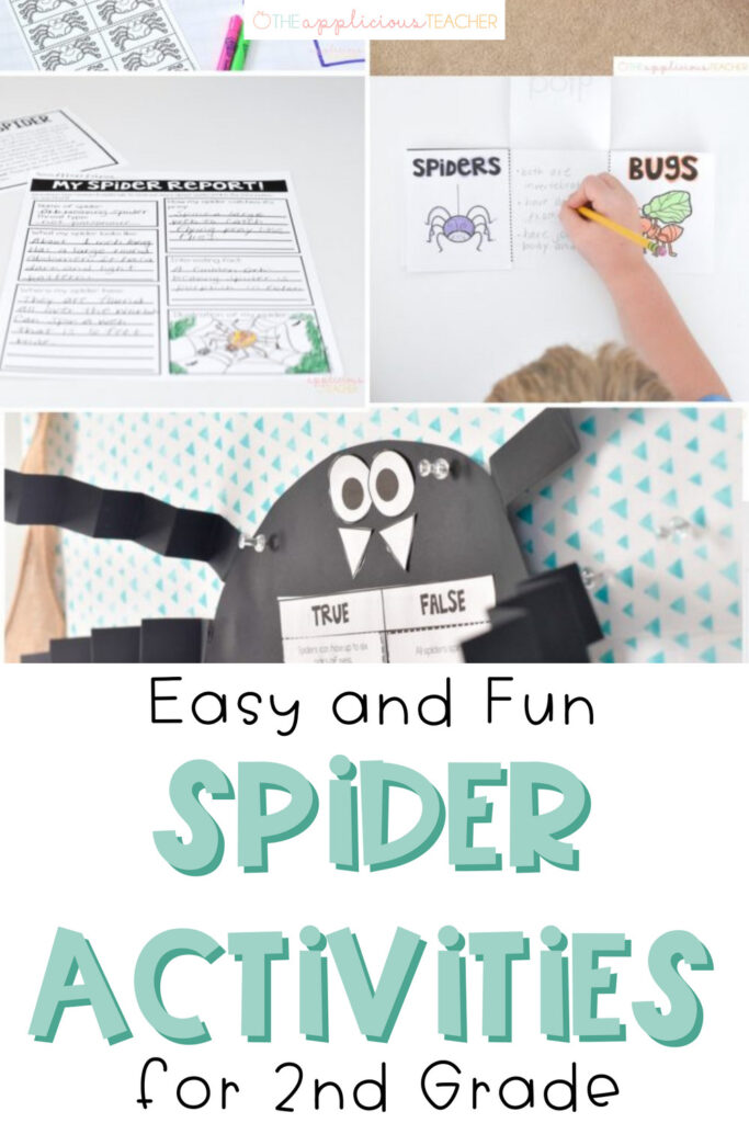 Spider Unit: A Fun Way to Teach the Standards this October
