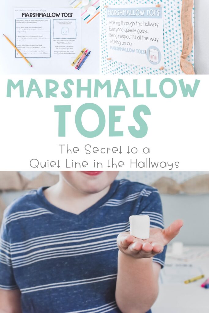 marshmallow toes pin 2 - The Applicious Teacher