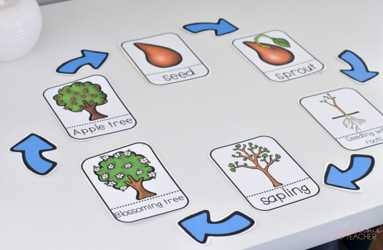 9 Fun and Easy Apple Activities for 2nd Grade - The Applicious Teacher