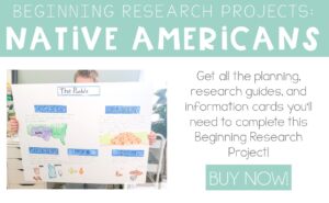Native American Research Project Poster