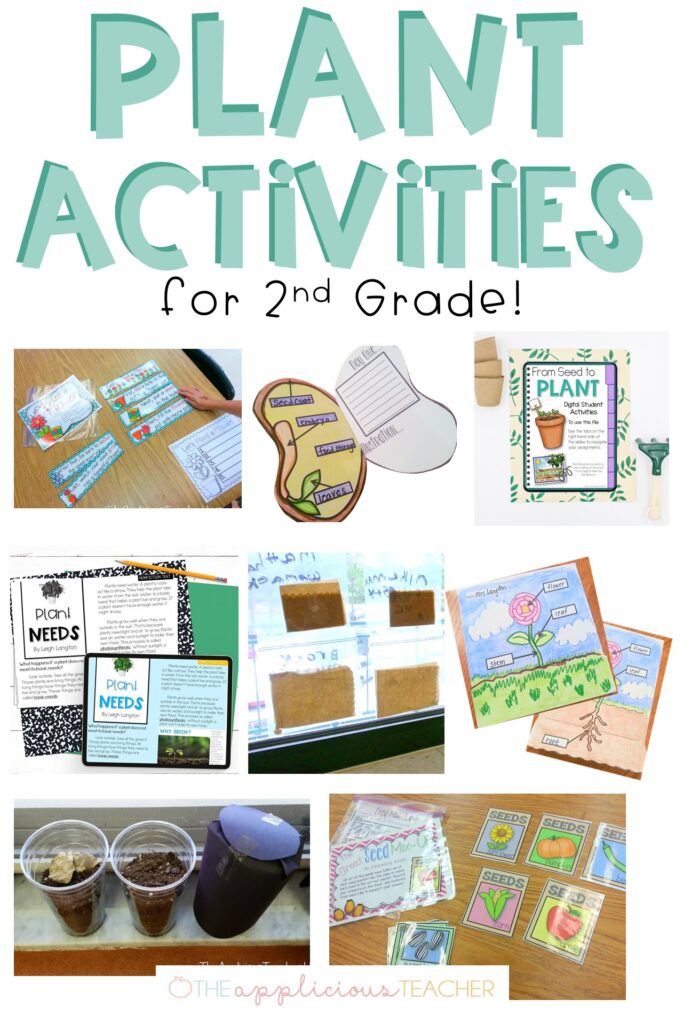 9 Fun Plant Activities for 2nd Grade - The Applicious Teacher