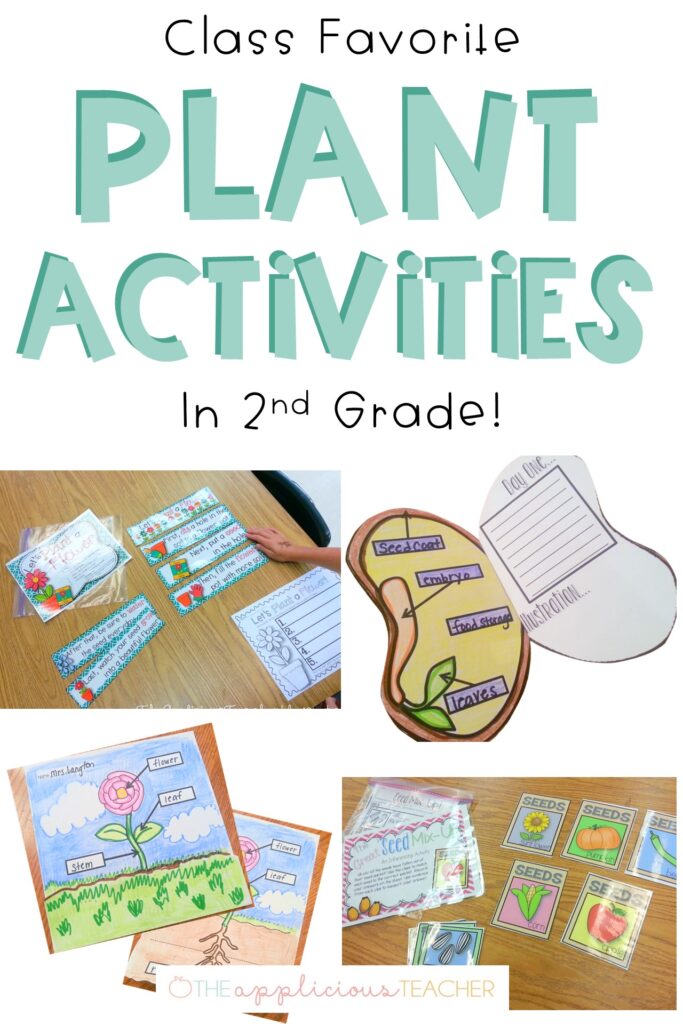 9 Fun Plant Activities for 2nd Grade - The Applicious Teacher