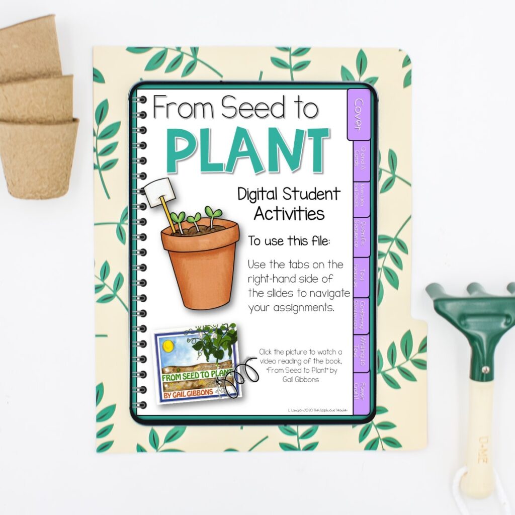 Keyword For Fun Plant Activities For 2nd Grade