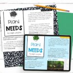 9 Fun Plant Activities for 2nd Grade - The Applicious Teacher