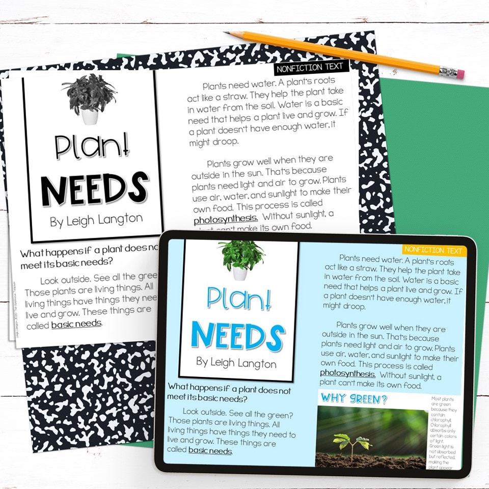 Keyword For Fun Plant Activities For 2nd Grade