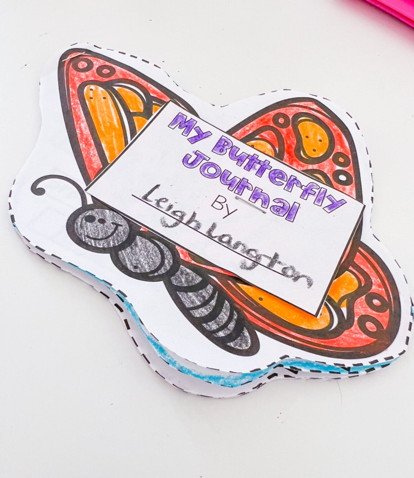 8 Life Cycle Activities Perfect for 2nd Grade - The Applicious Teacher