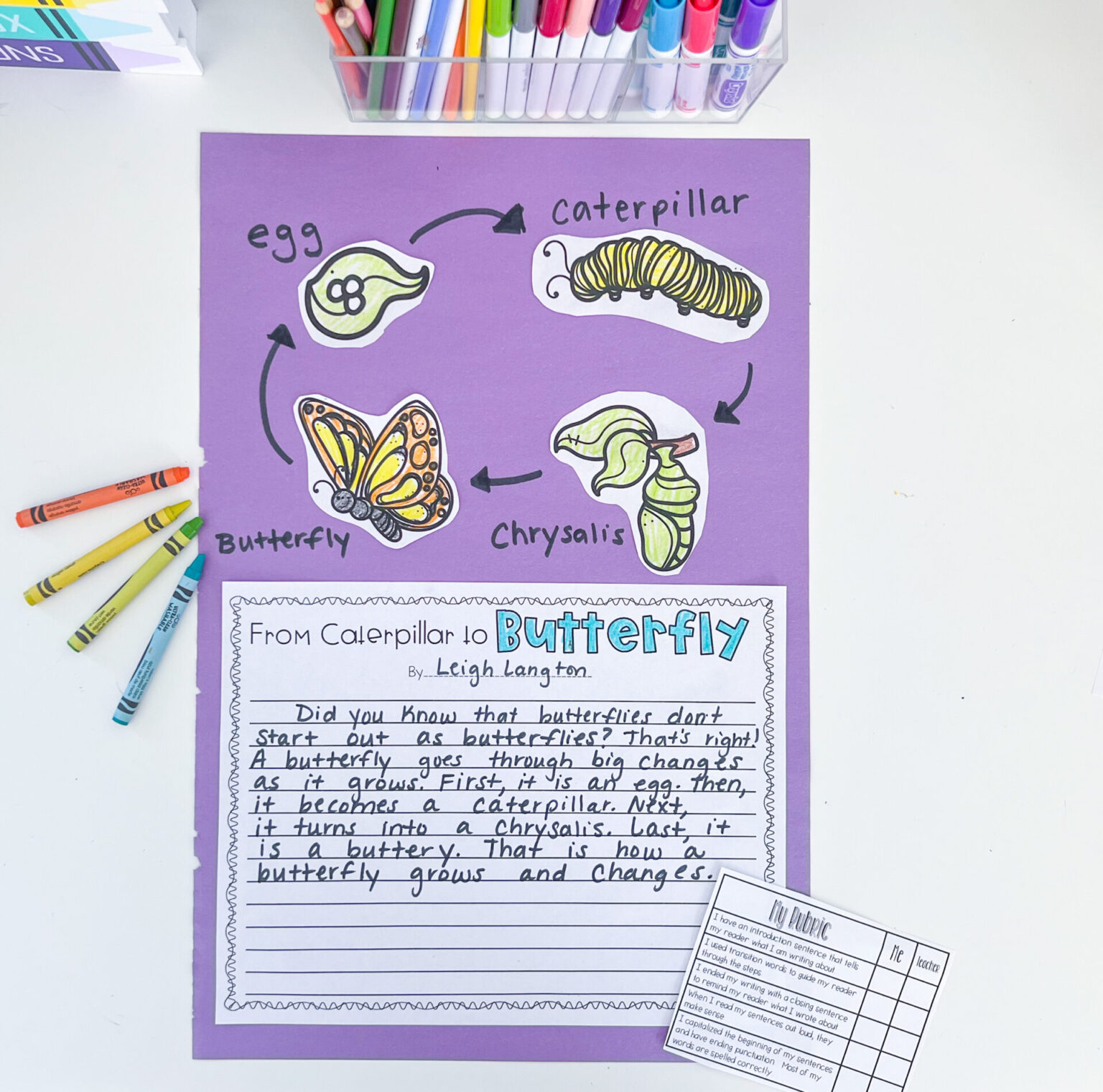 8 Life Cycle Activities Perfect for 2nd Grade - The Applicious Teacher