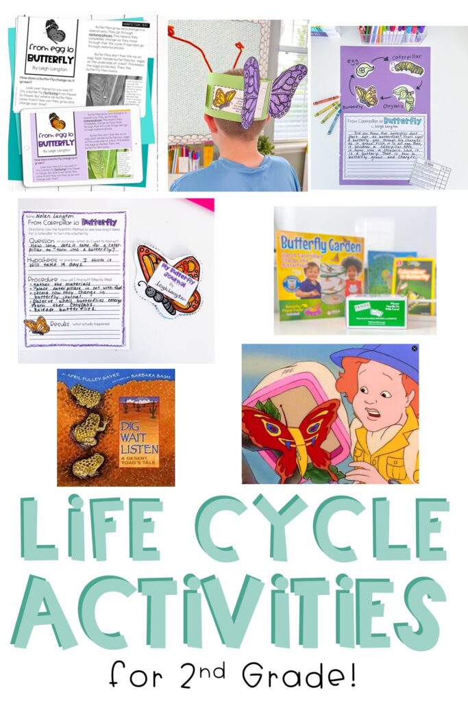 8 Life Cycle Activities Perfect for 2nd Grade - The Applicious Teacher
