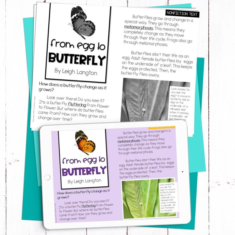 8 Life Cycle Activities Perfect for 2nd Grade - The Applicious Teacher