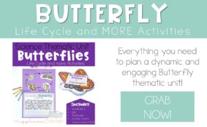 8 Life Cycle Activities Perfect for 2nd Grade - The Applicious Teacher