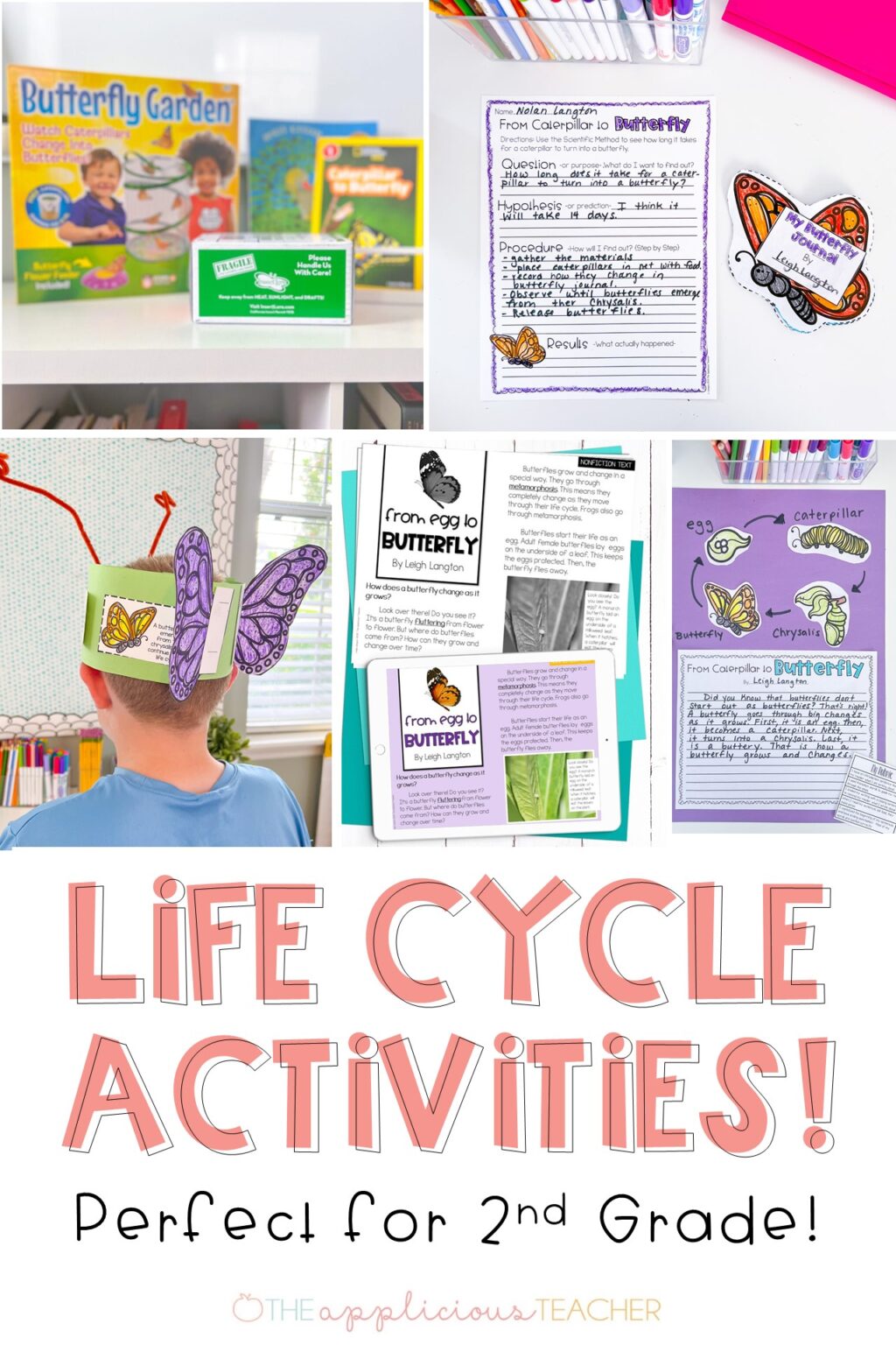 life cycle activities for 2nd grade - The Applicious Teacher
