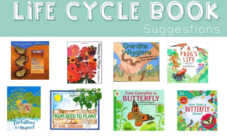 8 Life Cycle Activities Perfect for 2nd Grade - The Applicious Teacher