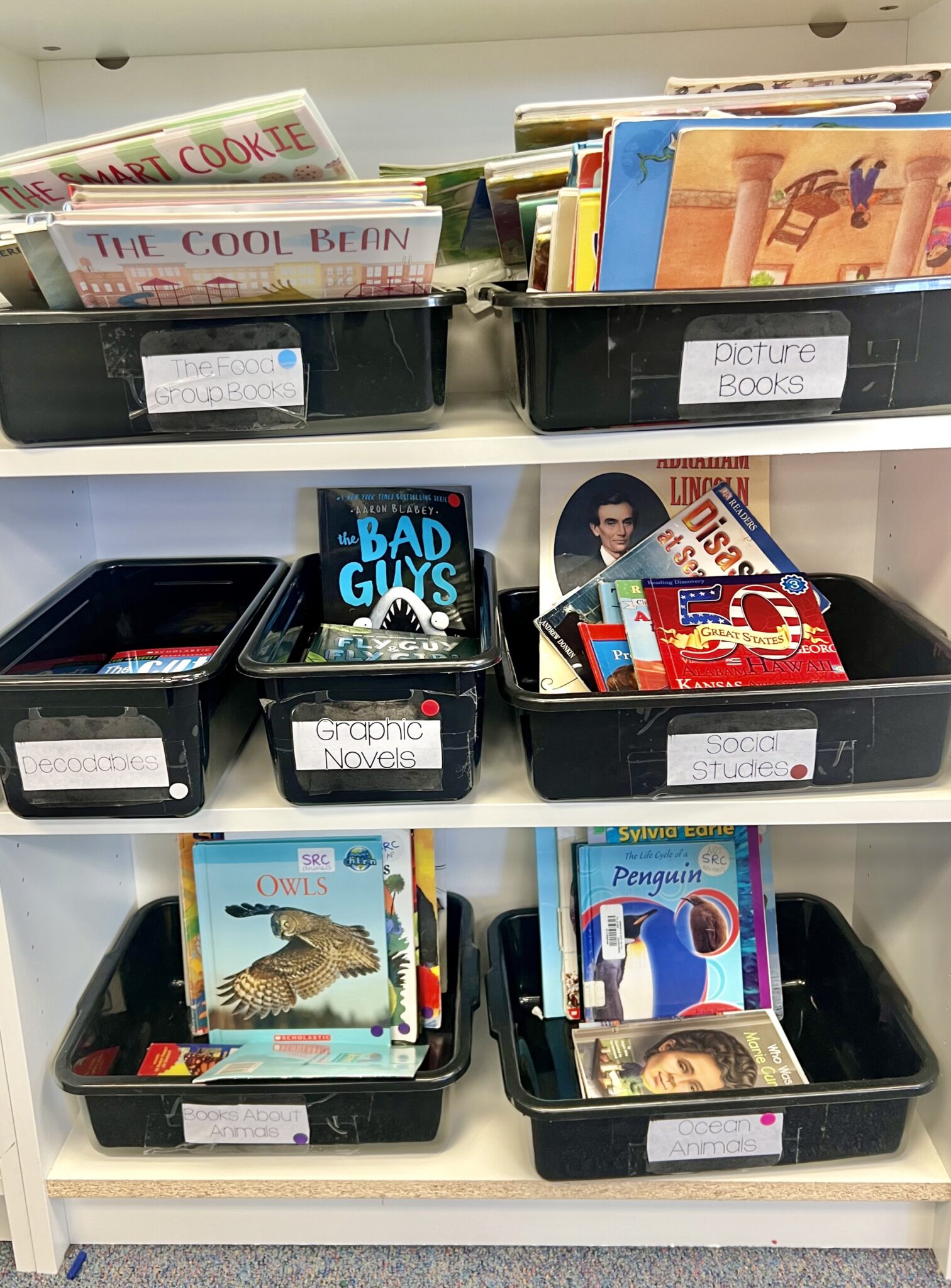 Amazon Classroom Supplies: Items that You'll Actually Use! - The ...