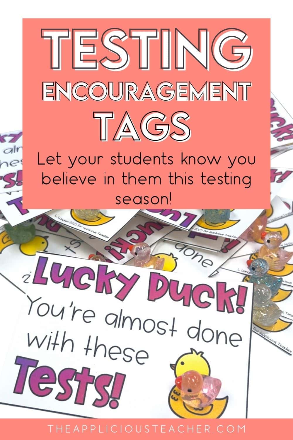 Testing Encouragement Tags for Students