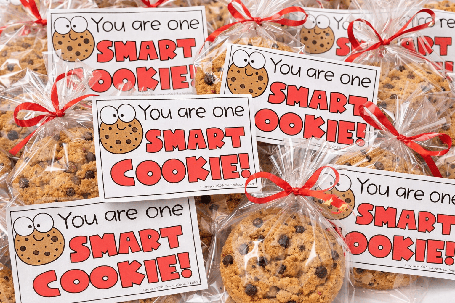 Testing Encouragement Tags for Students