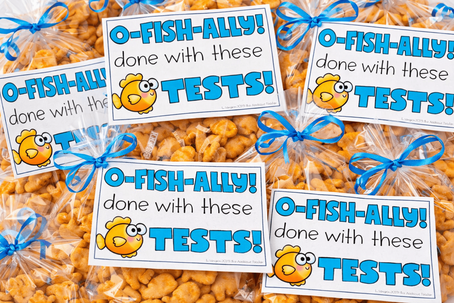 Testing Encouragement Tags for Students